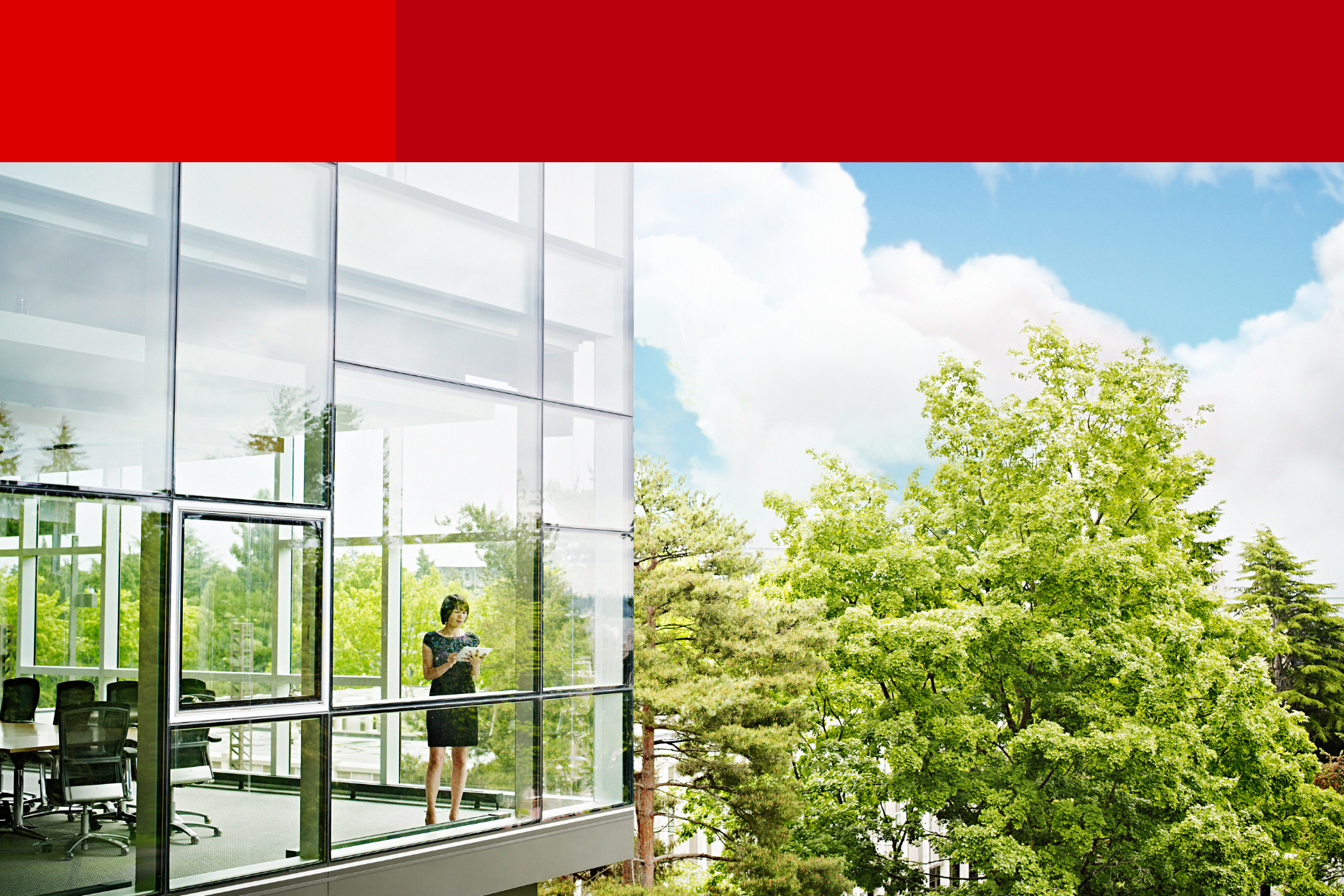 Taking a holistic approach to network sustainability - Ciena