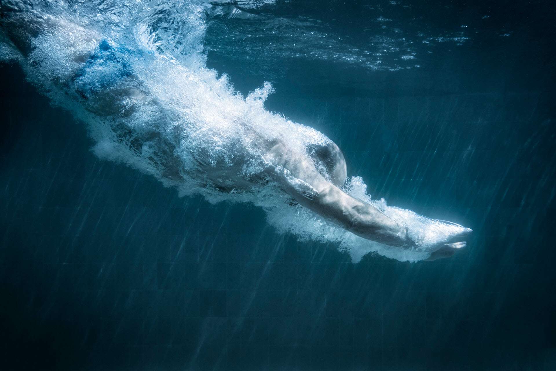 Dive into the Ciena Open Submarine Cables Handbook - Ciena