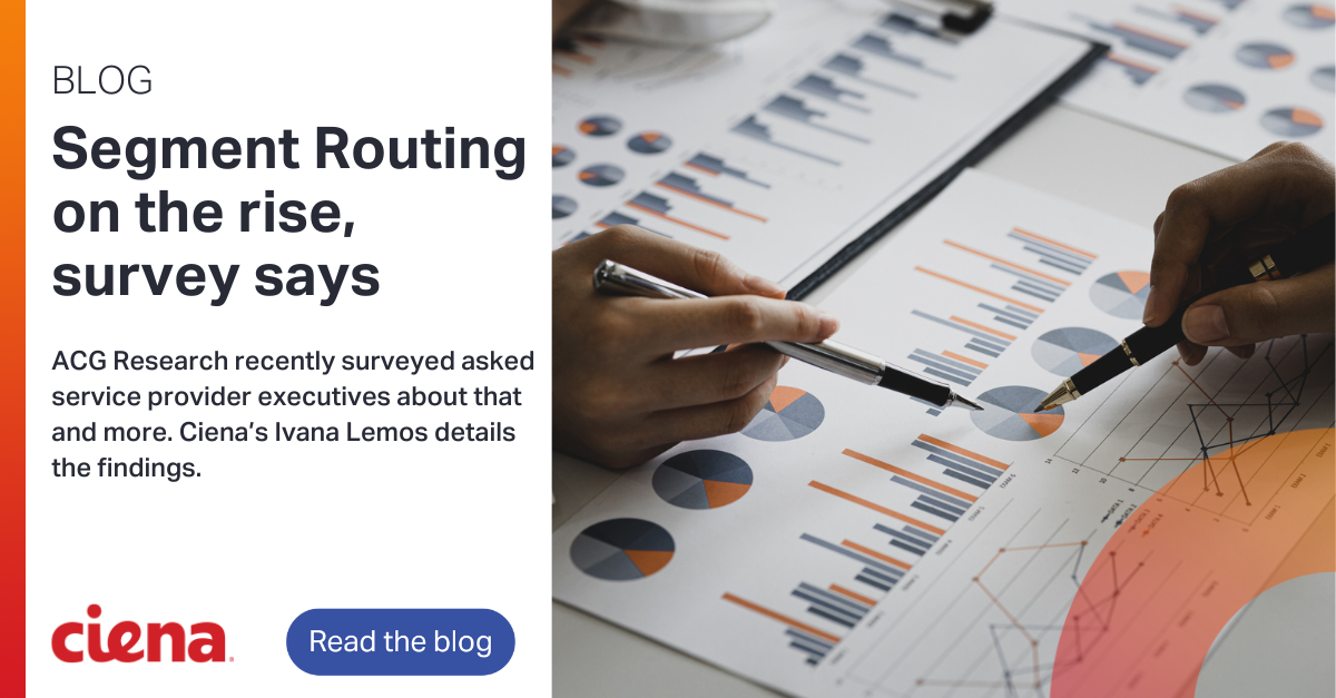 Segment Routing on the rise, survey says - Ciena