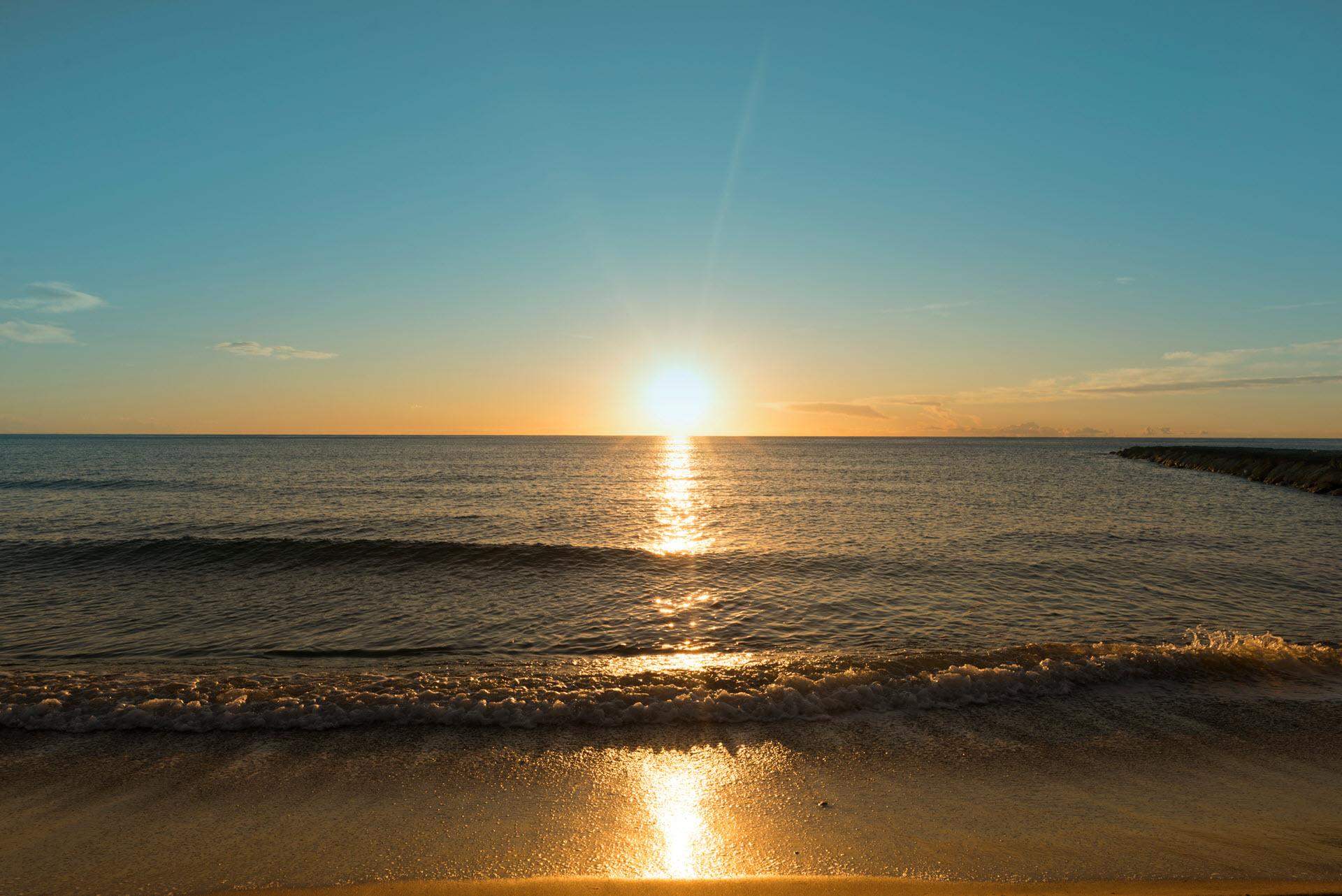 On the Submarine Network Horizon in 2019 - Ciena