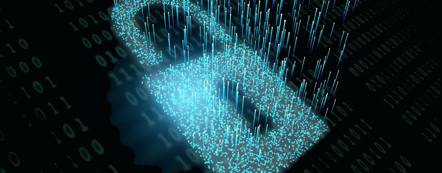 Data security and encryption - Ciena