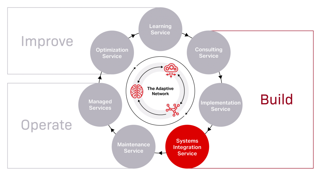 Systems Integration Service - Ciena