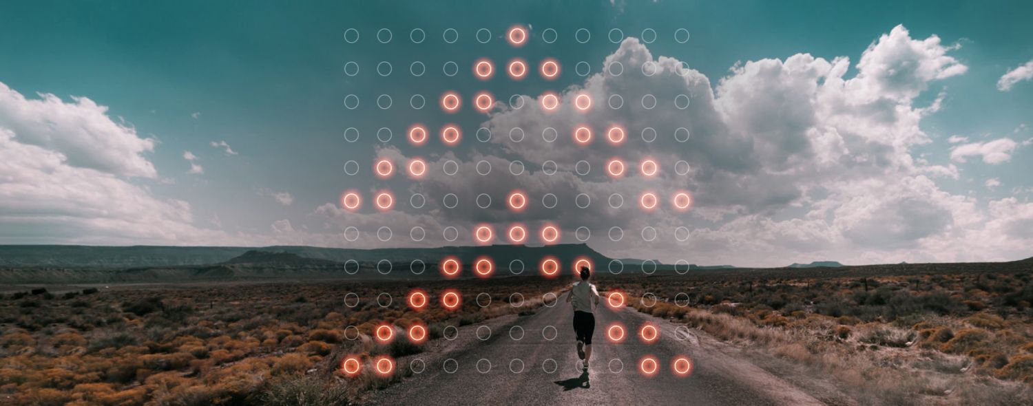 WaveRouter family | Ciena - Ciena