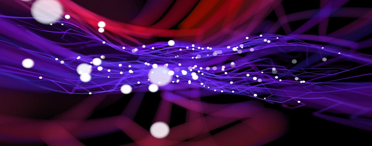 WaveRouter - Ciena DE